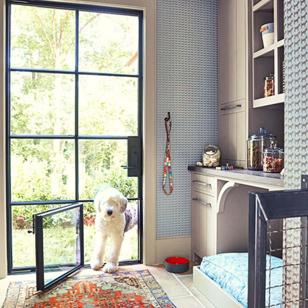 25 DIY Dog Room Decor Ideas | Social Doggy Club