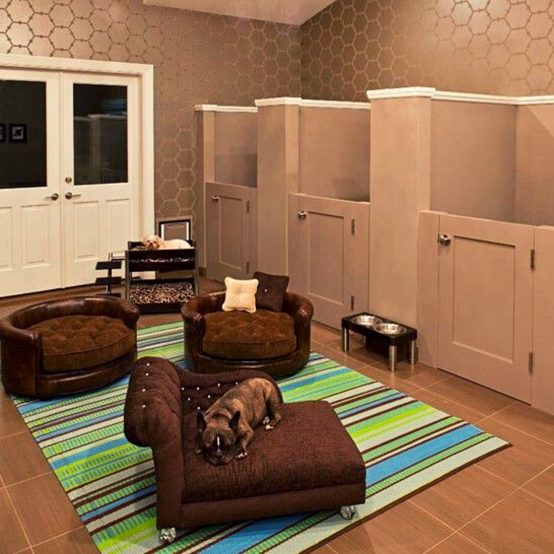 25 DIY Dog Room Decor Ideas | Social Doggy Club