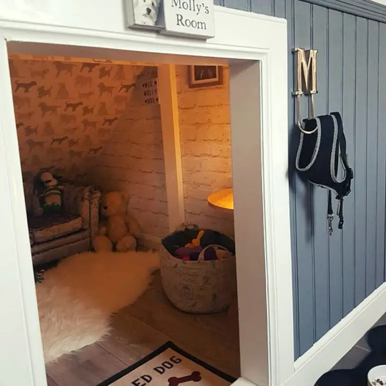 25 DIY Dog Room Decor Ideas | Social Doggy Club