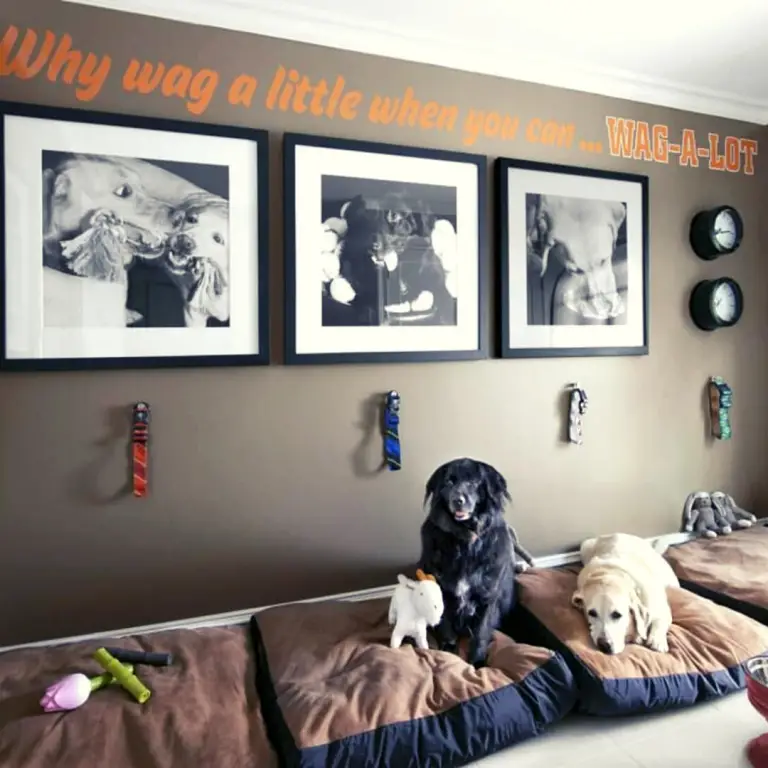 25 DIY Dog Room Decor Ideas | Social Doggy Club