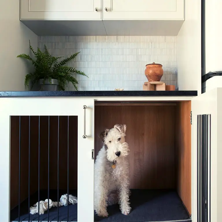 25 DIY Dog Room Decor Ideas | Social Doggy Club