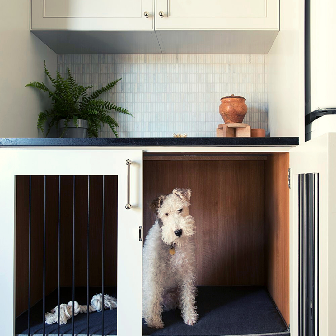 25 DIY Dog Room Decor Ideas | Social Doggy Club