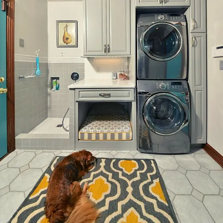 25 DIY Dog Room Decor Ideas | Social Doggy Club