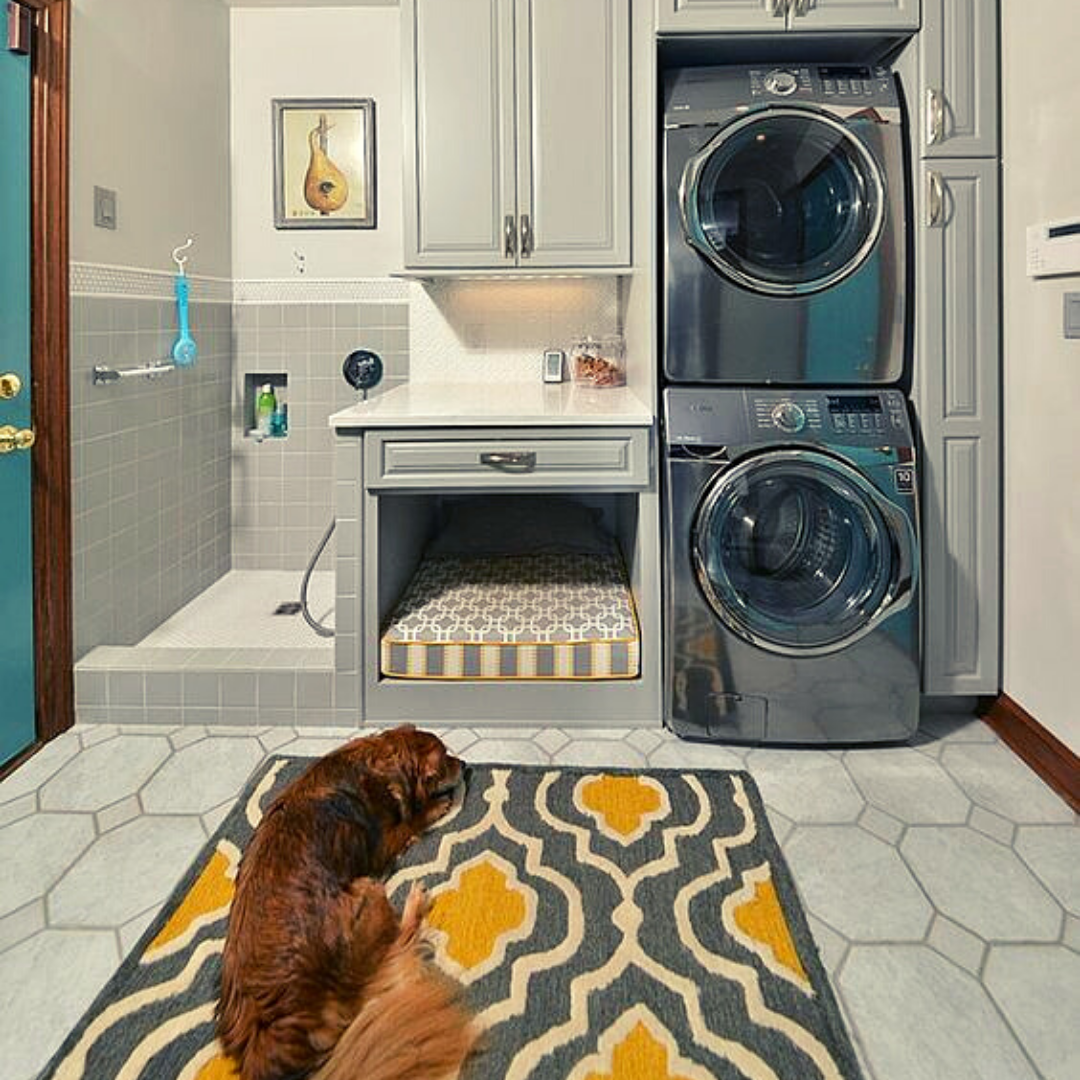 25 DIY Dog Room Decor Ideas | Social Doggy Club