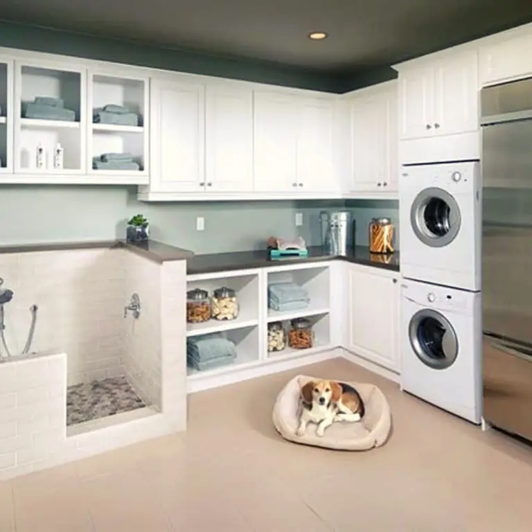 25 DIY Dog Room Decor Ideas | Social Doggy Club