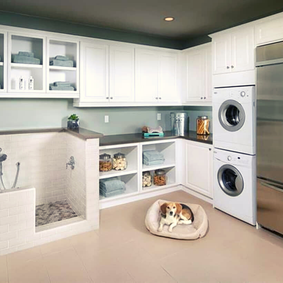 25 DIY Dog Room Decor Ideas | Social Doggy Club