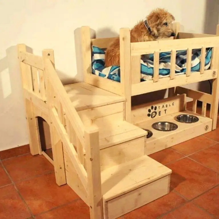 25 DIY Dog Room Decor Ideas | Social Doggy Club