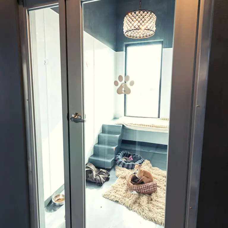 25 DIY Dog Room Decor Ideas | Social Doggy Club